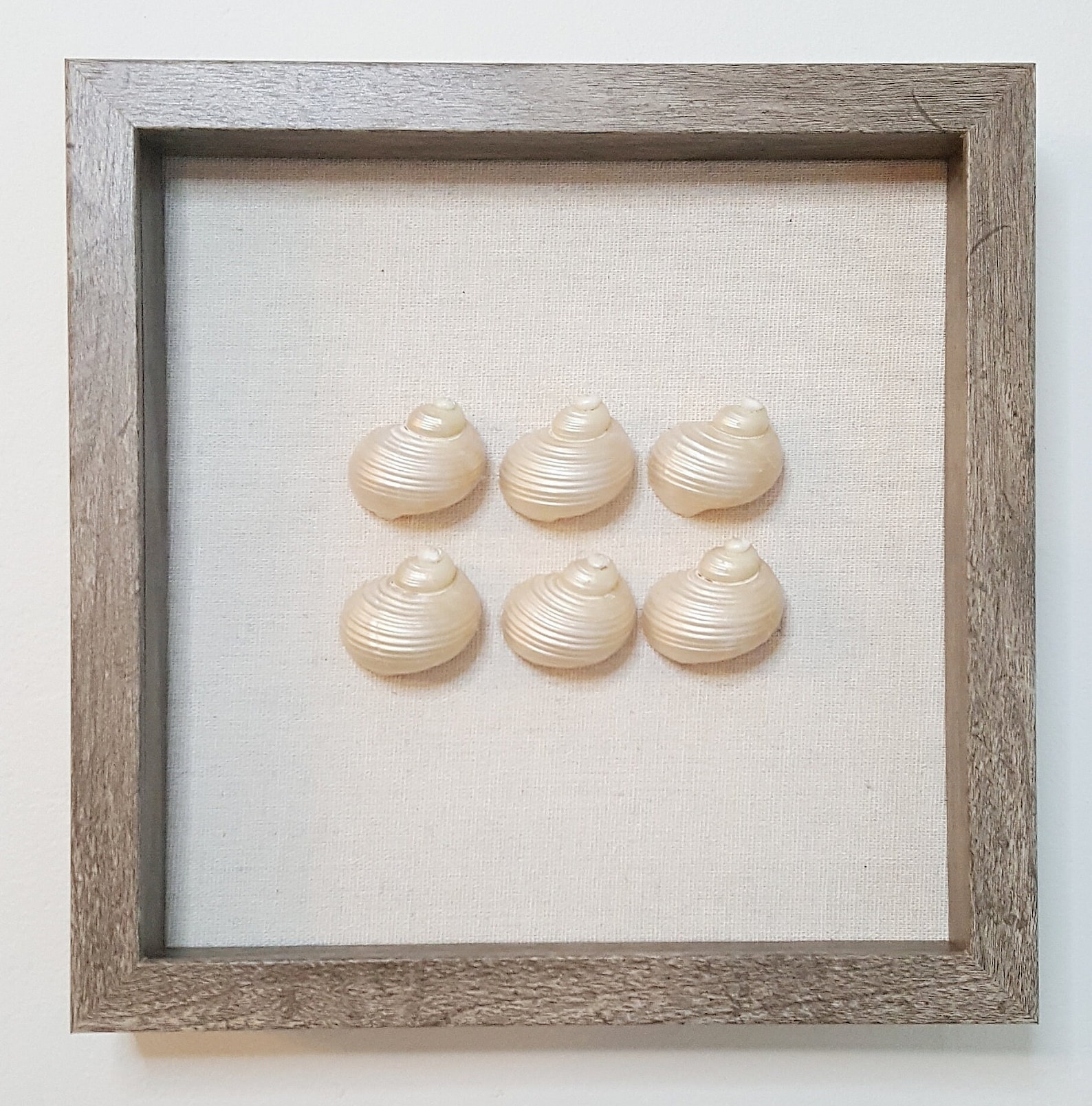 Set of 9 Framed Seashells Framed Starfish Framed Sand - Etsy