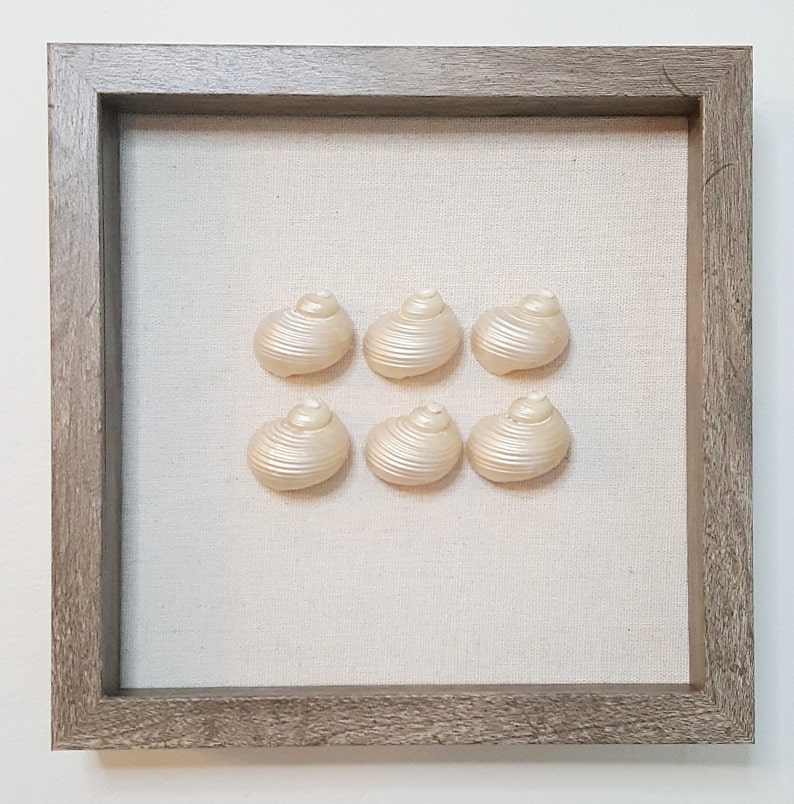 Set of 9 Framed Seashells Framed Starfish Framed Sand - Etsy