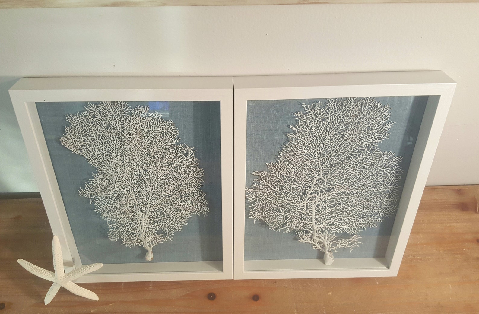 Set of 2 Framed Sea Fans White Sea Fans Sea Fan Art Sea Fan - Etsy