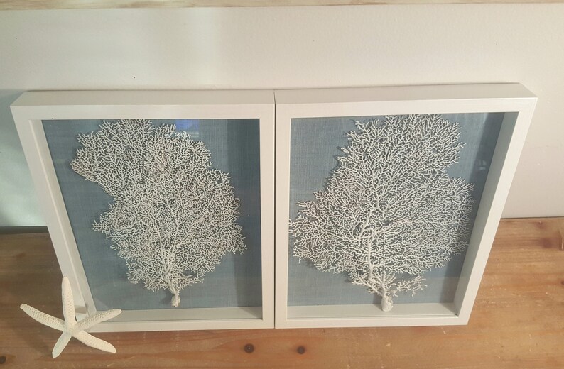 Set of 2 Framed Sea Fans White Sea Fans Sea Fan Art Sea Fan - Etsy