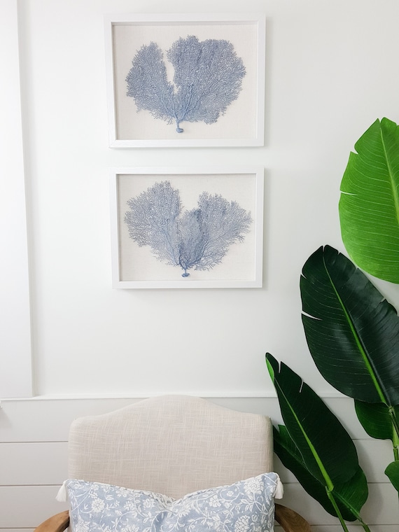 Set of 2 Framed Sea Fans Sea Fan Art Sea Fan Decor Sea | Etsy