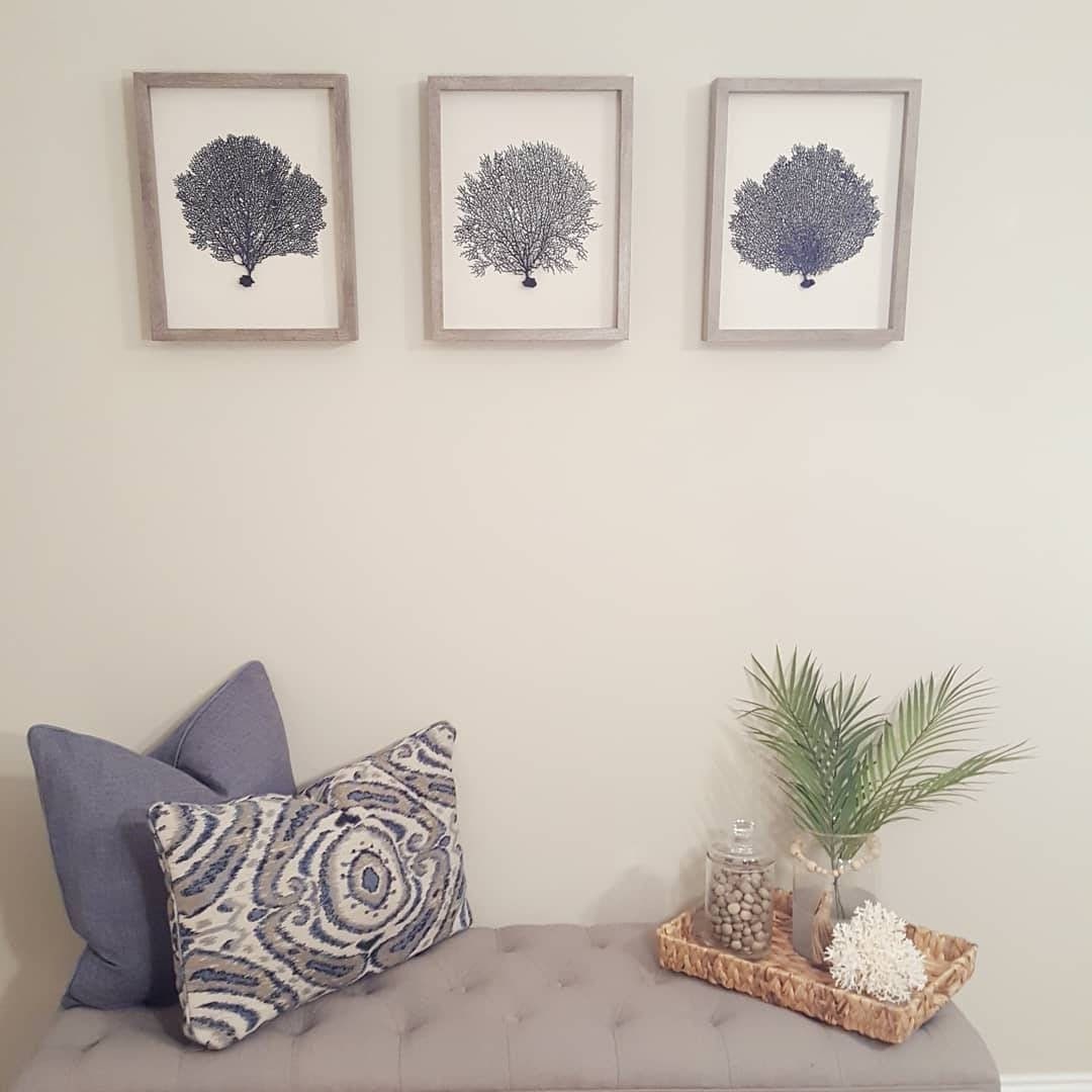 Set of 3 Framed Sea Fans Navy Blue Sea Fans Sea Fan Decor | Etsy