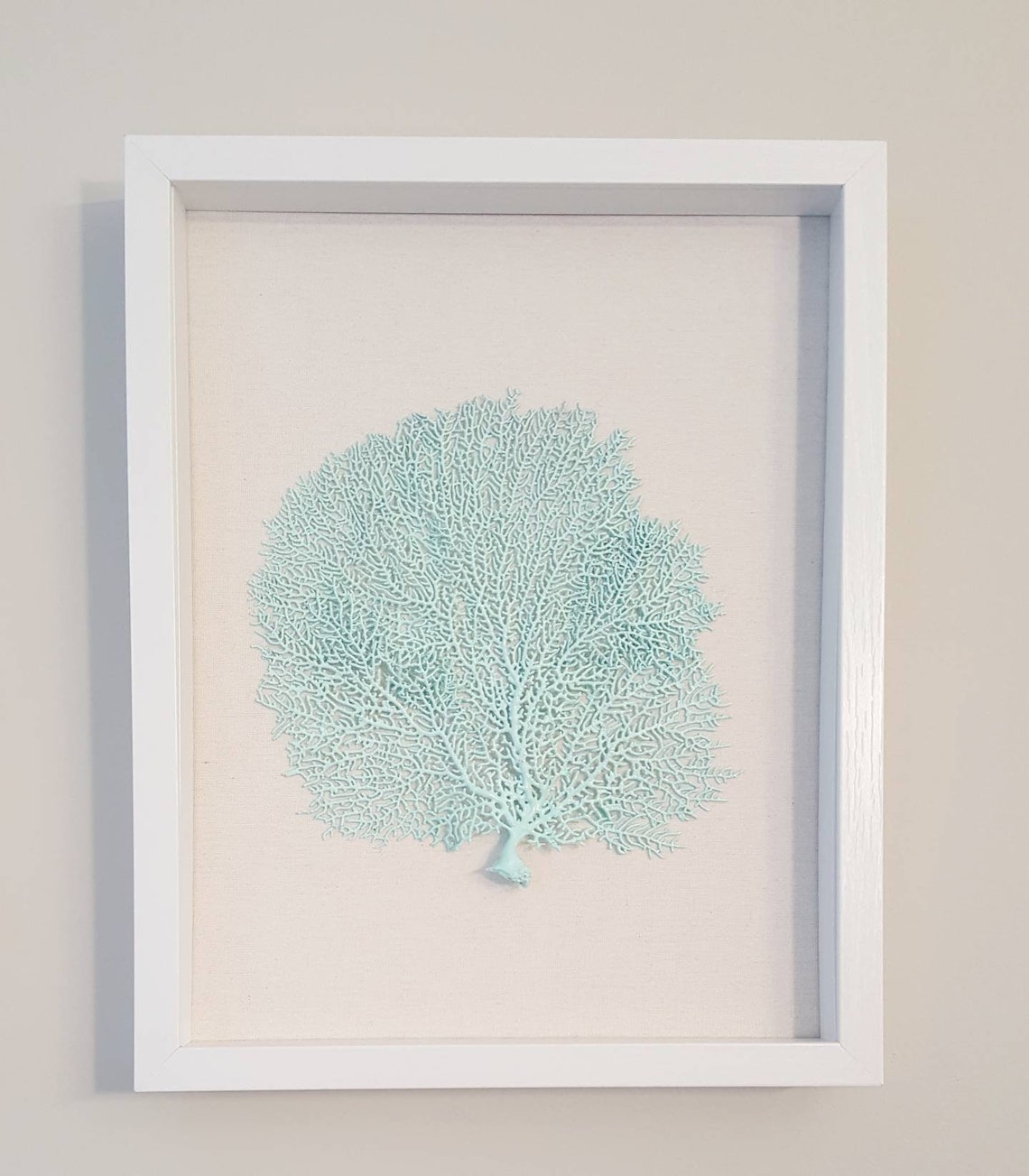 Set of 3 Framed Sea Foam Sea Fan Shadowboxes, Coastal Wall Art - Etsy