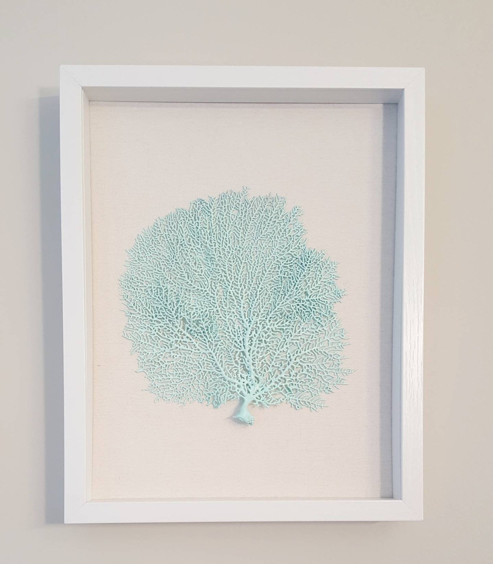 Set of 3 Framed Sea Fans Sea Foam Sea Fans Sea Fan Decor | Etsy