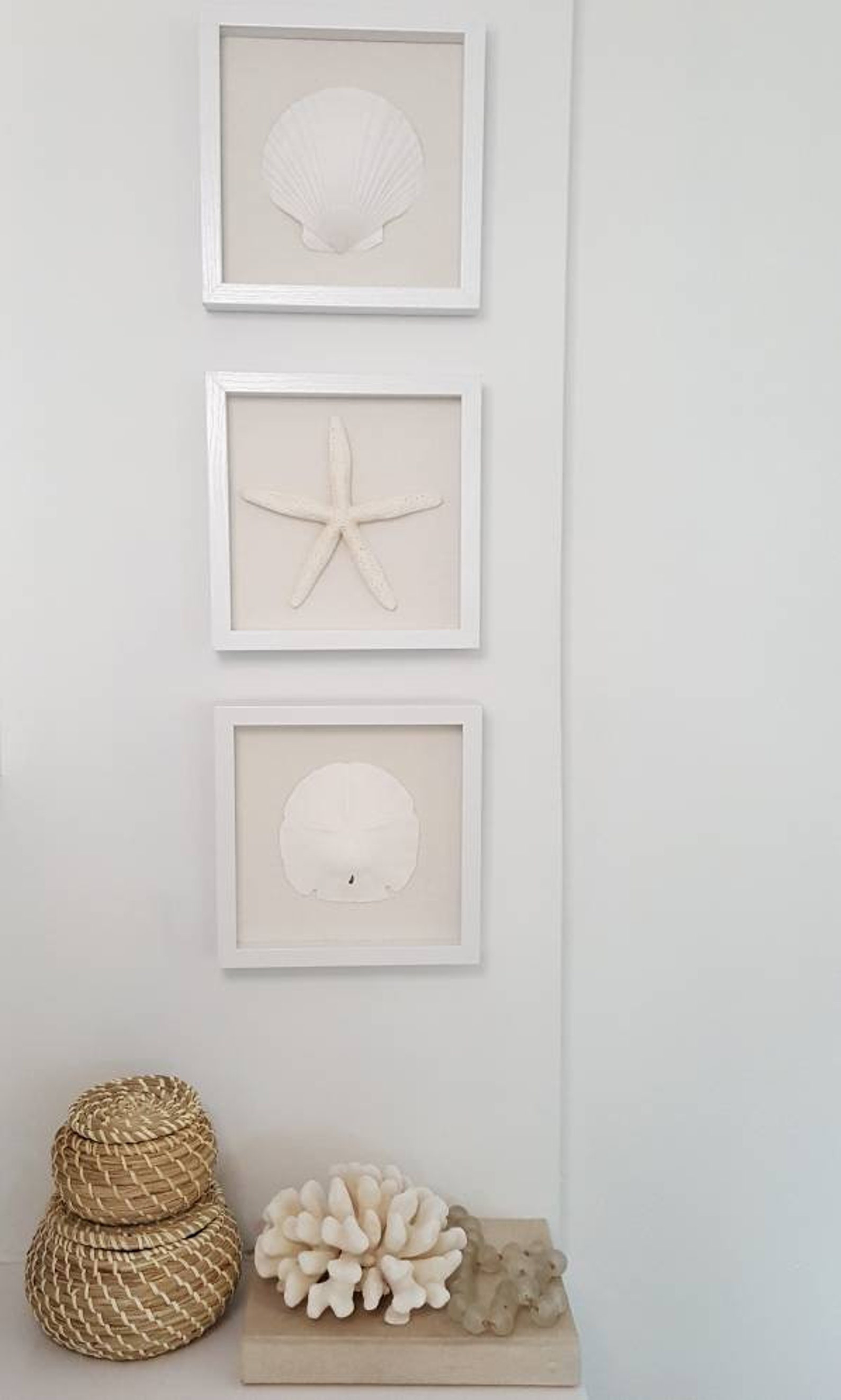 Set of 3 Framed Seashells Home Decor Coastal Housewarming - Etsy