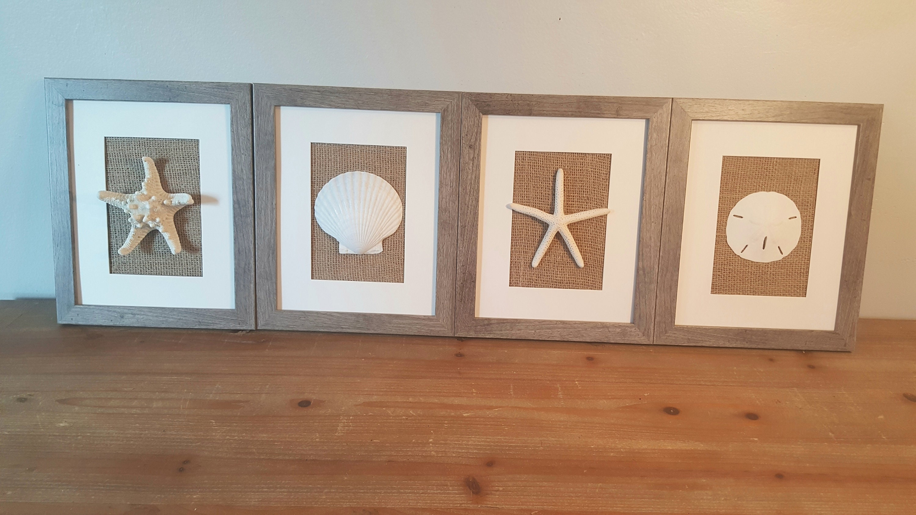 Set of 4 Framed Seashells Beach Entryway Decor Beach Wall | Etsy
