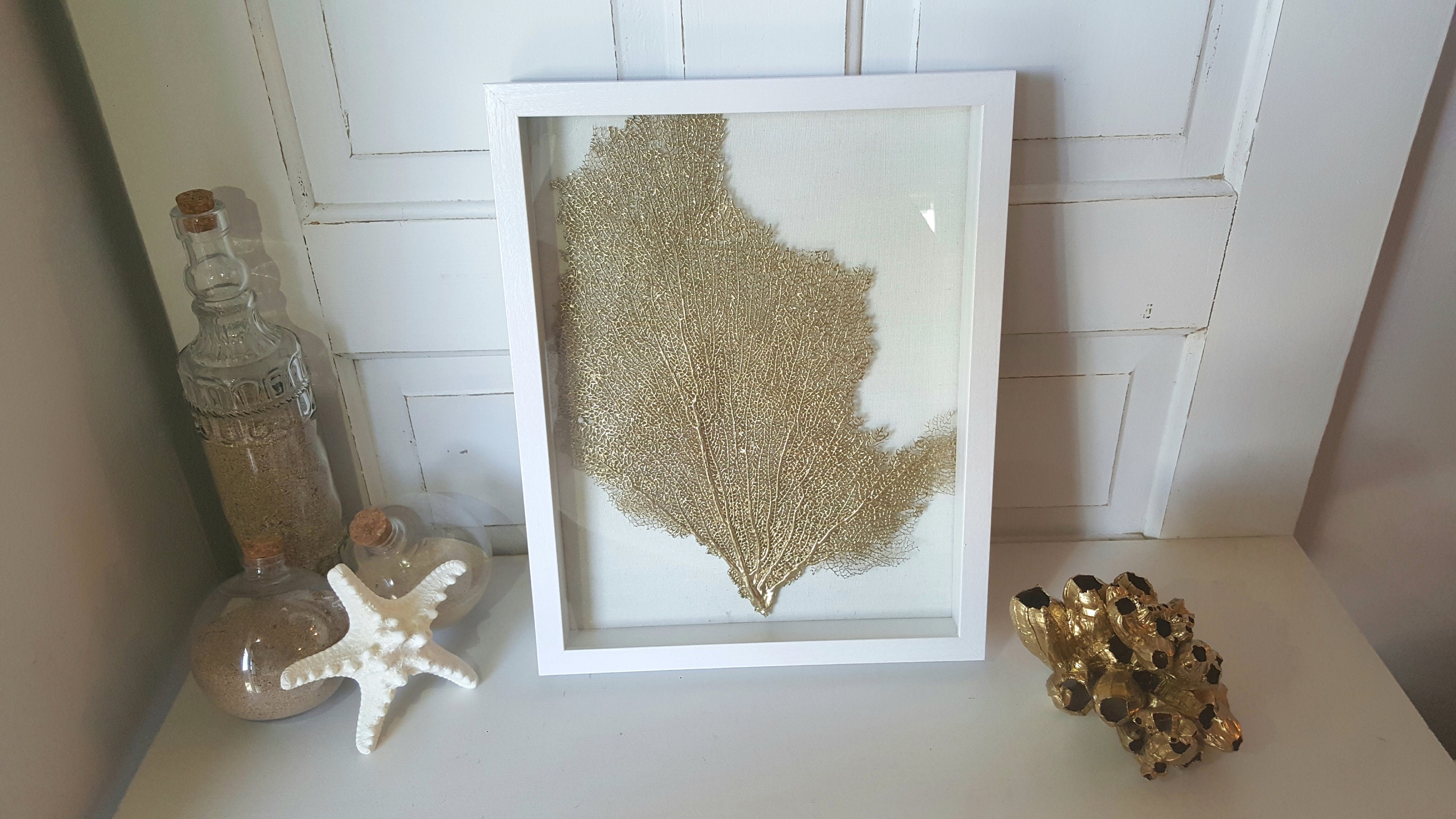 Diy Sea Fan Art