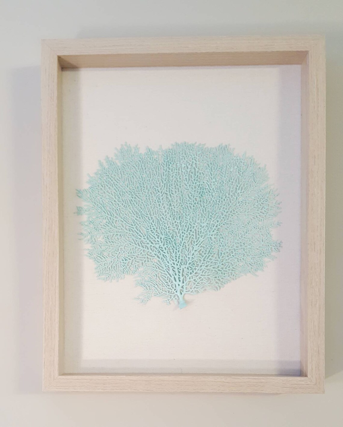Set of 3 Framed Sea Fans Sea Foam Sea Fan Sea Fan Art Sea - Etsy