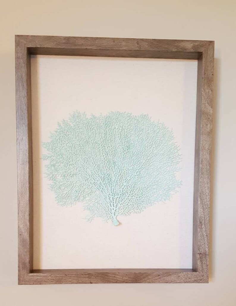 Set of 3 Framed Sea Foam Sea Fan Shadow Boxes, Coastal Decor - Etsy