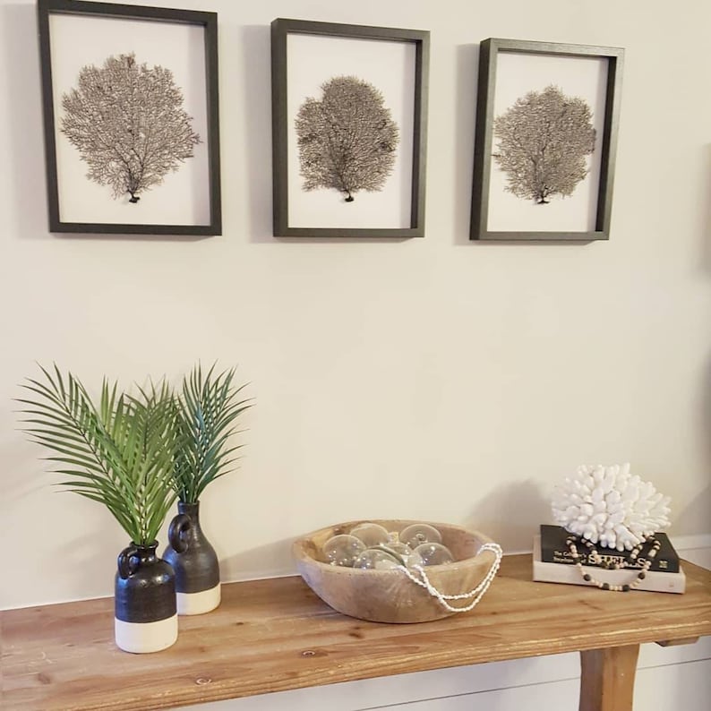 Set of 3 Framed Sea Fansblack Sea Fans Sea Fan Decor Sea | Etsy