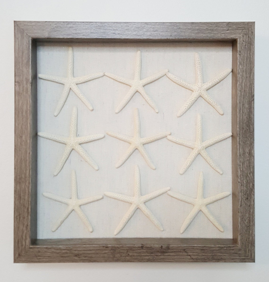 Set of 9 Framed Seashells Framed Starfish Framed Sand - Etsy