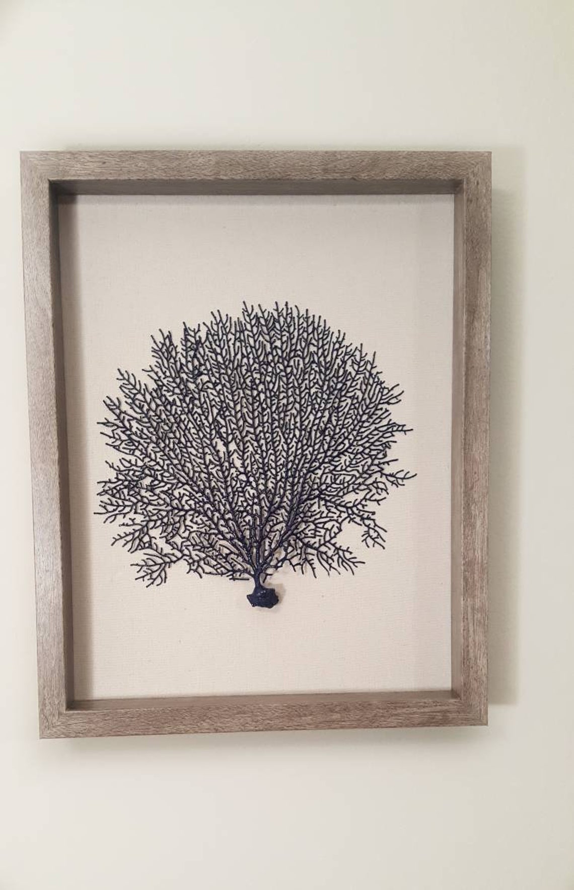 Set of 3 Framed Sea Fans Navy Blue Sea Fans Sea Fan Decor | Etsy