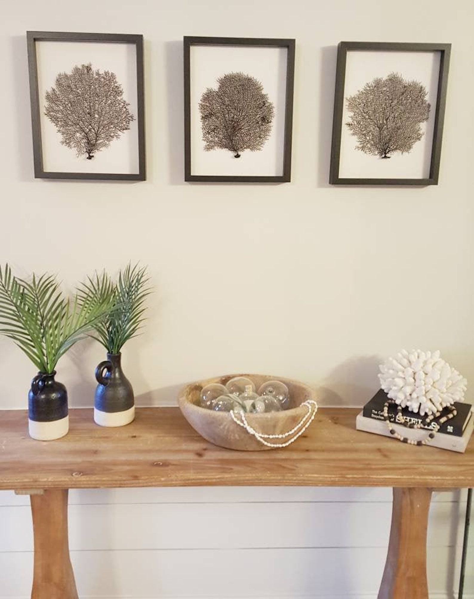 Set of 3 Framed Sea Fansblack Sea Fans Sea Fan Decor Sea | Etsy