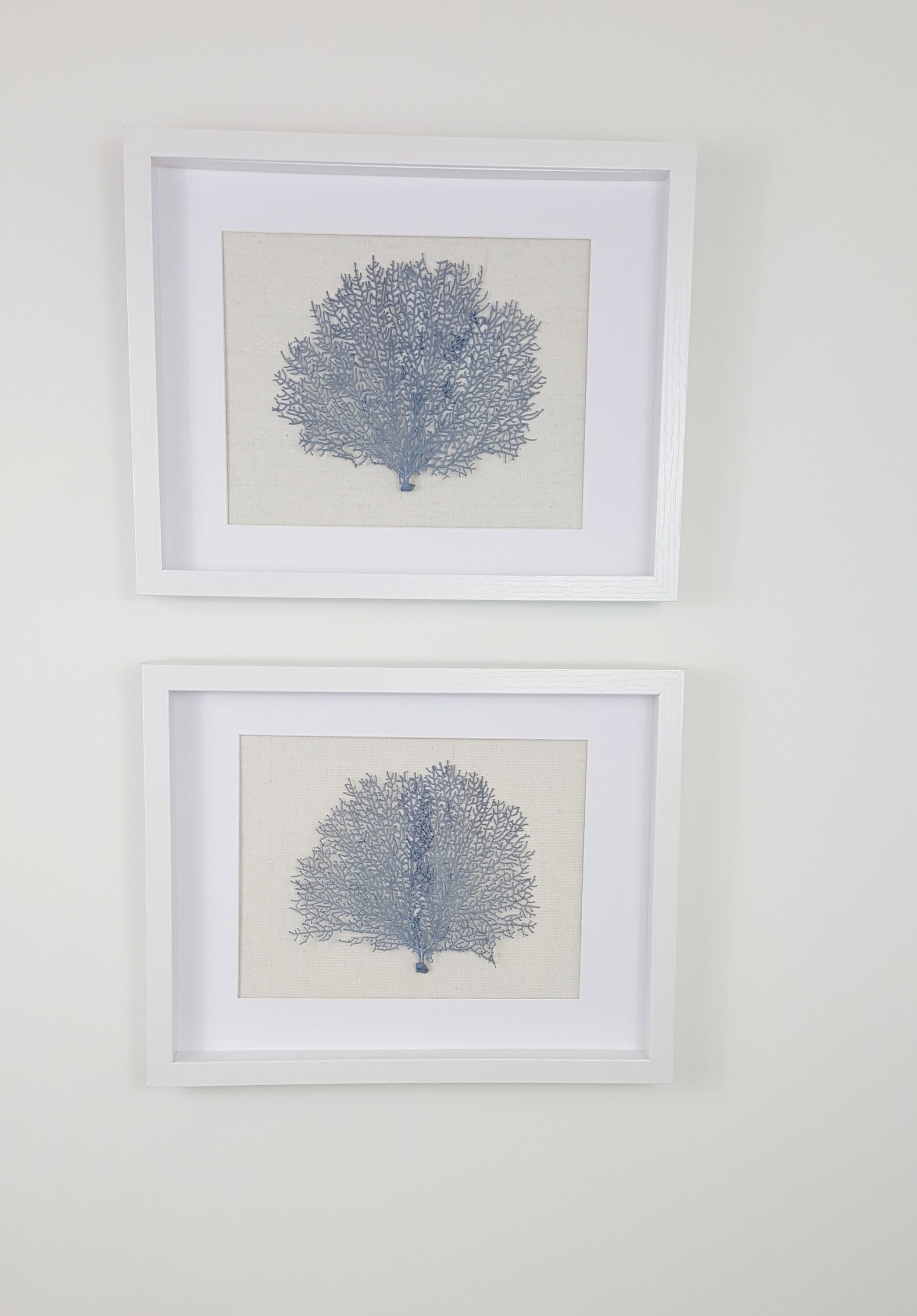 Set of 2 Framed Sea Fans Sea Fan Art Sea Fan Decor Sea - Etsy