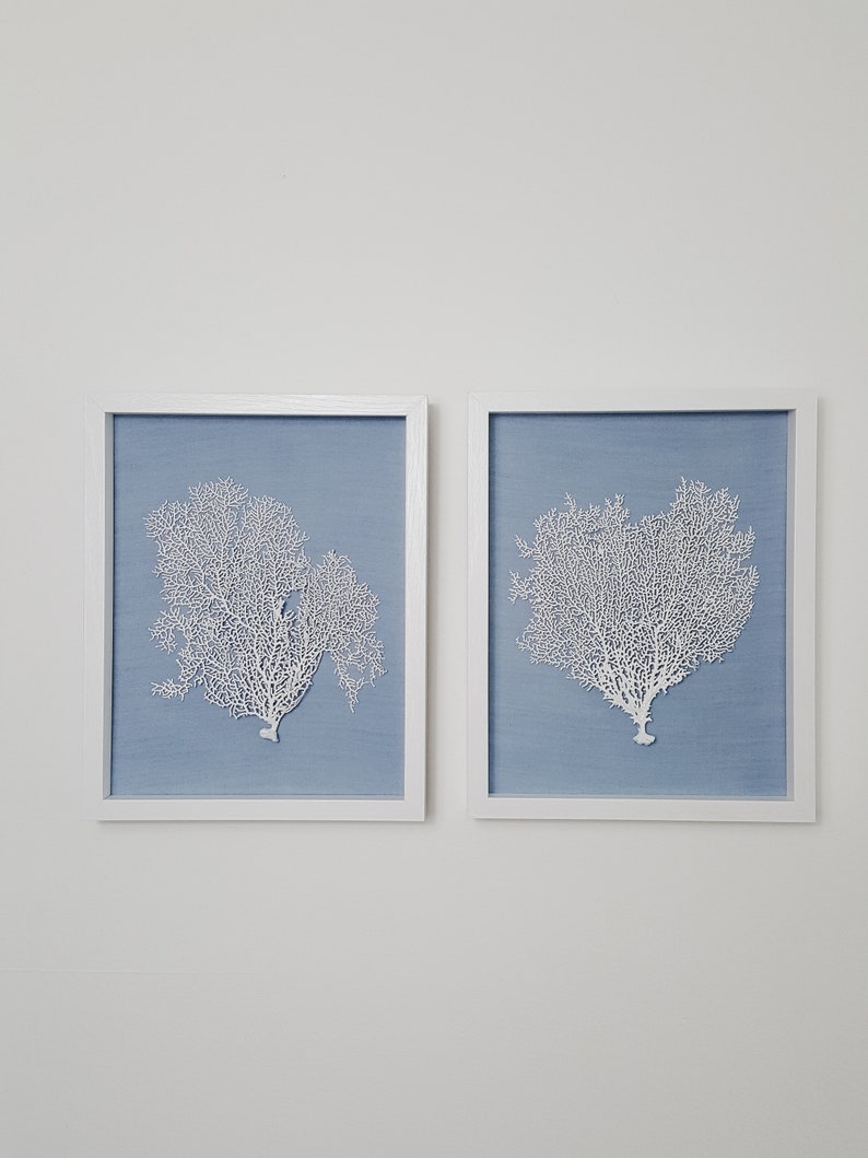 Set of 2 Framed Sea Fans, White Sea Fans, Coastal Decor, Sea Coral ...