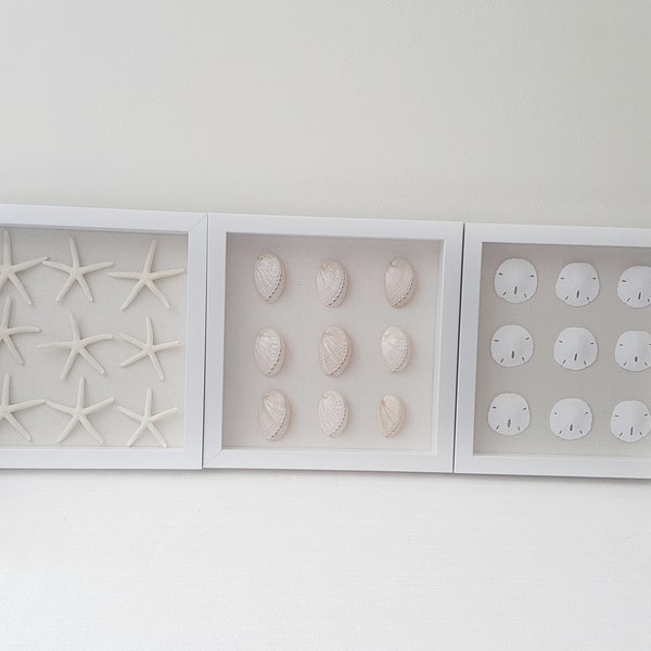 Framed Shell Art - Etsy