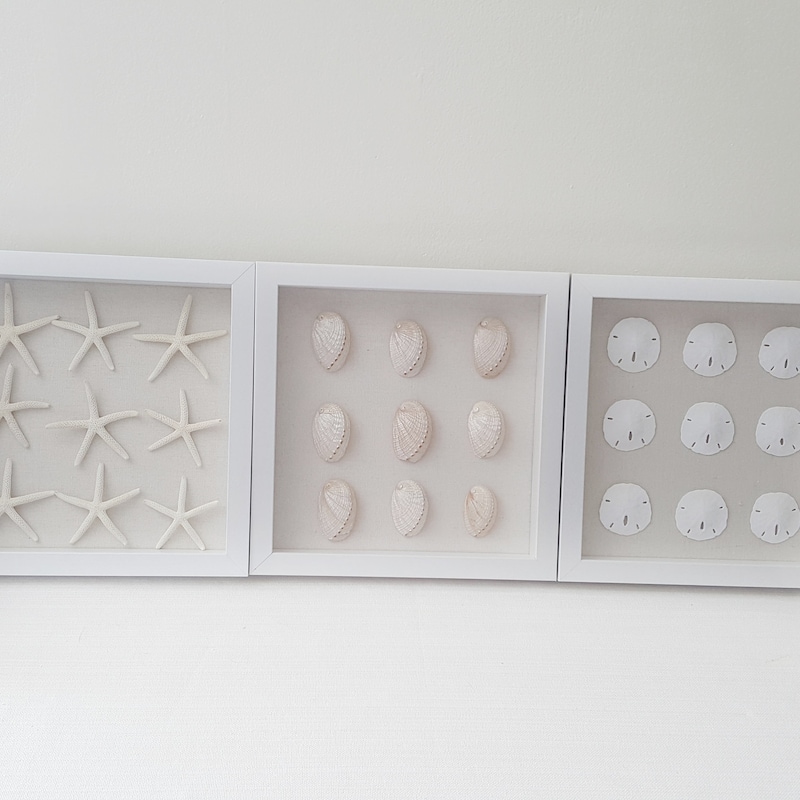Framed Shell Art - Etsy