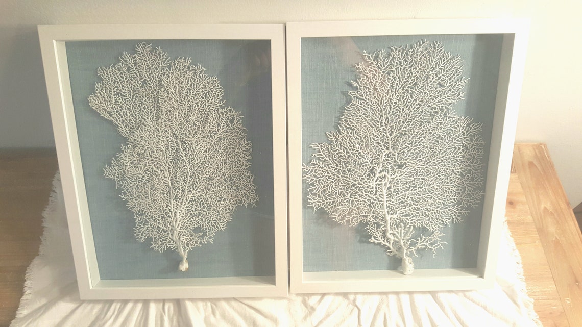 Set of 2 Framed Sea Fans White Sea Fans Sea Fan Art Sea Fan - Etsy