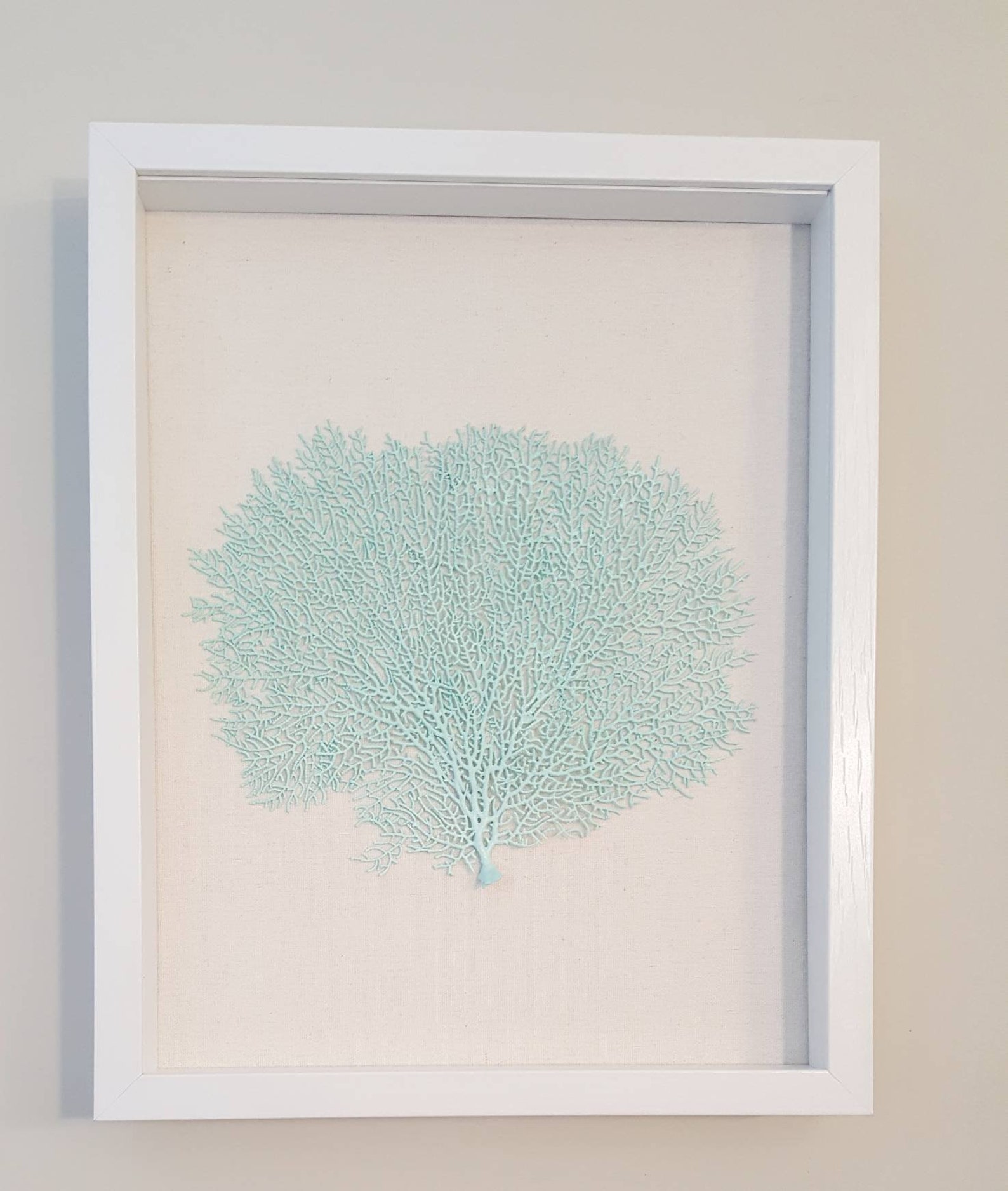 Set of 3 Framed Sea Fans Sea Foam Sea Fans Sea Fan Decor | Etsy