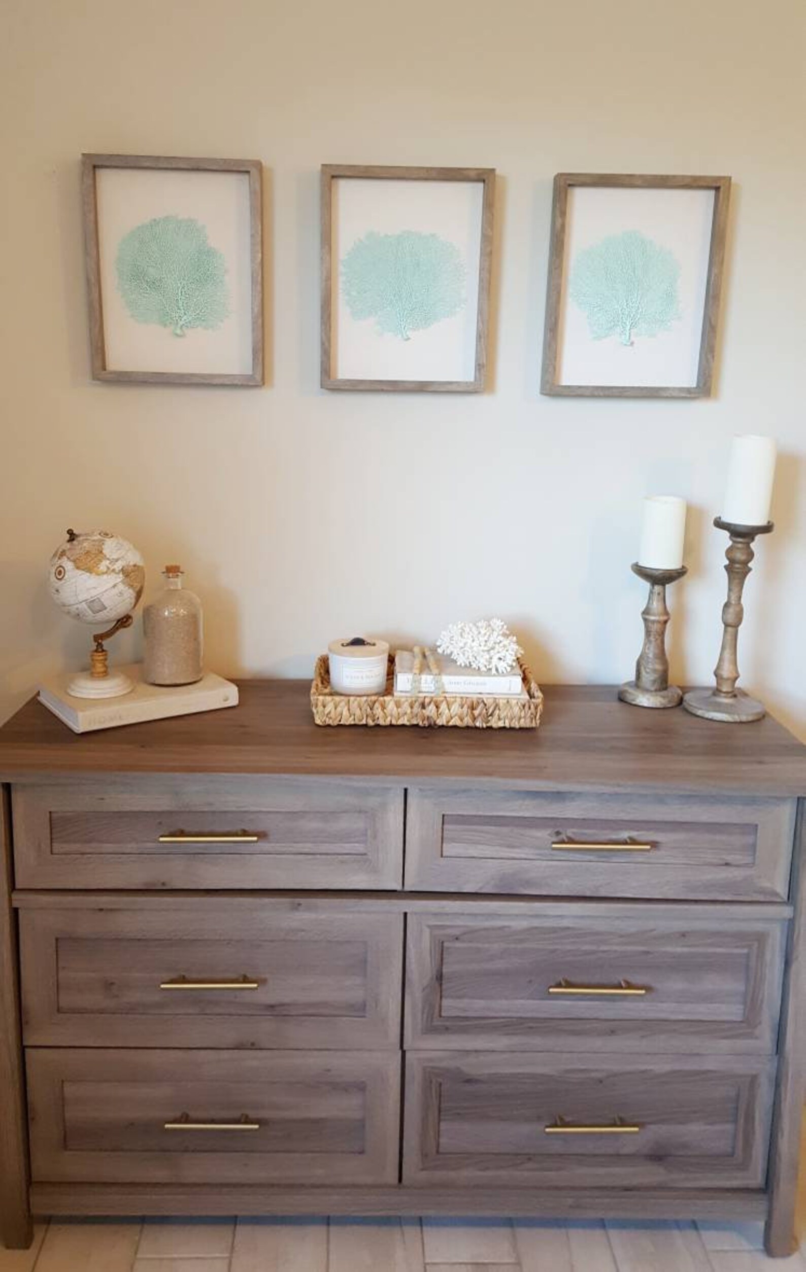 Set of 3 Framed Sea FansSea Foam Sea Fans Sea Fan Decor Sea | Etsy