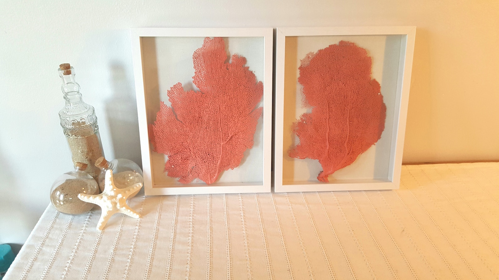 Set of 2 Framed Sea Fans Coral Sea Fans Sea FansSea Fan | Etsy