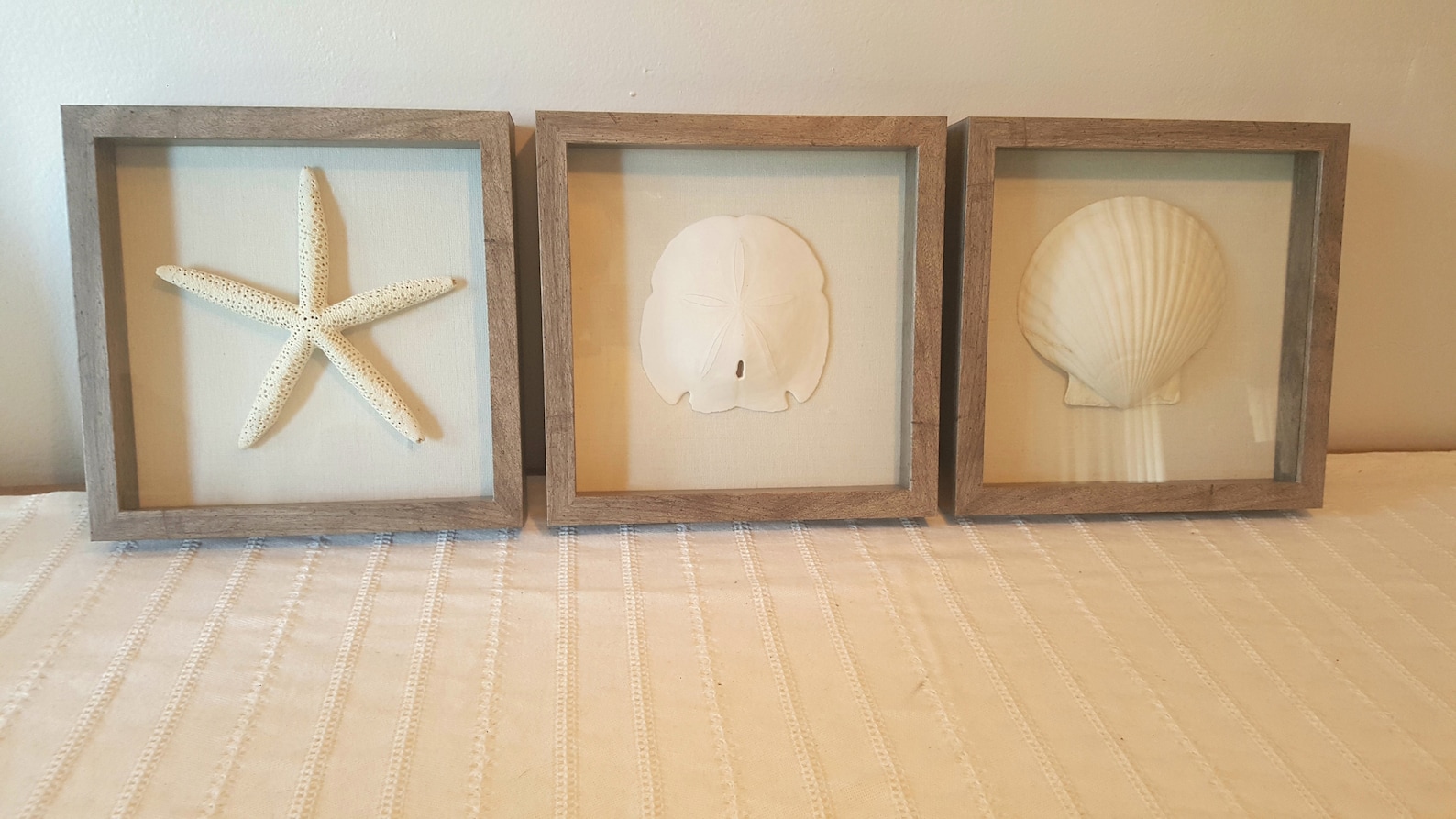 Set of 3 Framed Seashells Framed Starfish Framed Sand - Etsy