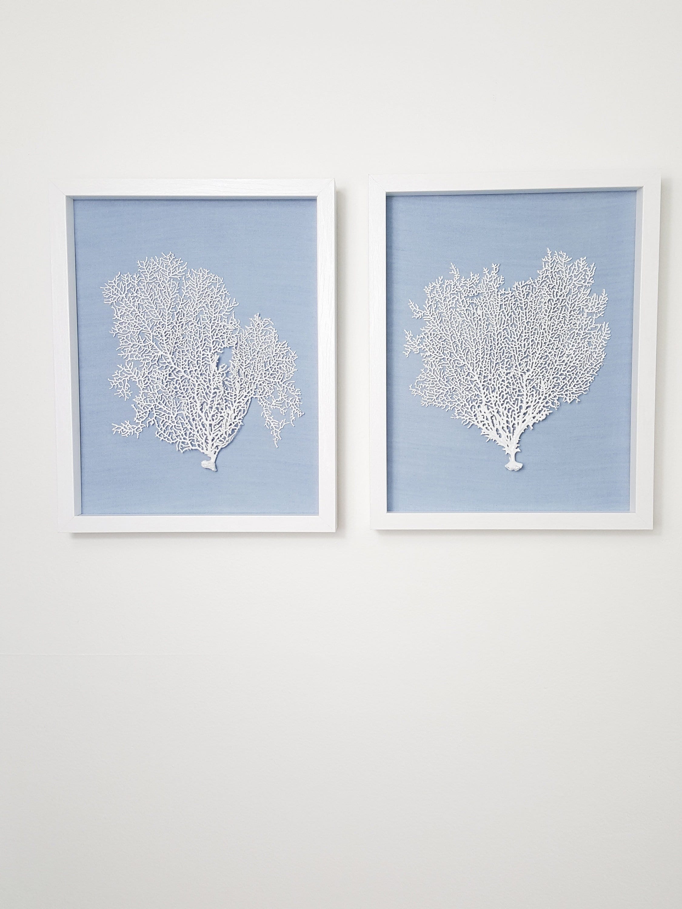 Set of 2 Framed Sea Fans White Sea Fans Coastal Decor Sea - Etsy