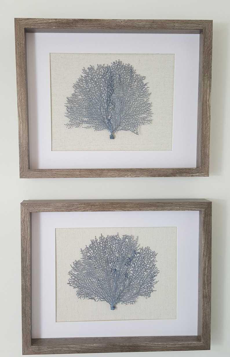 Set of 2 Framed Sea Fans Sea Fan Art Sea Fan Decor Sea | Etsy