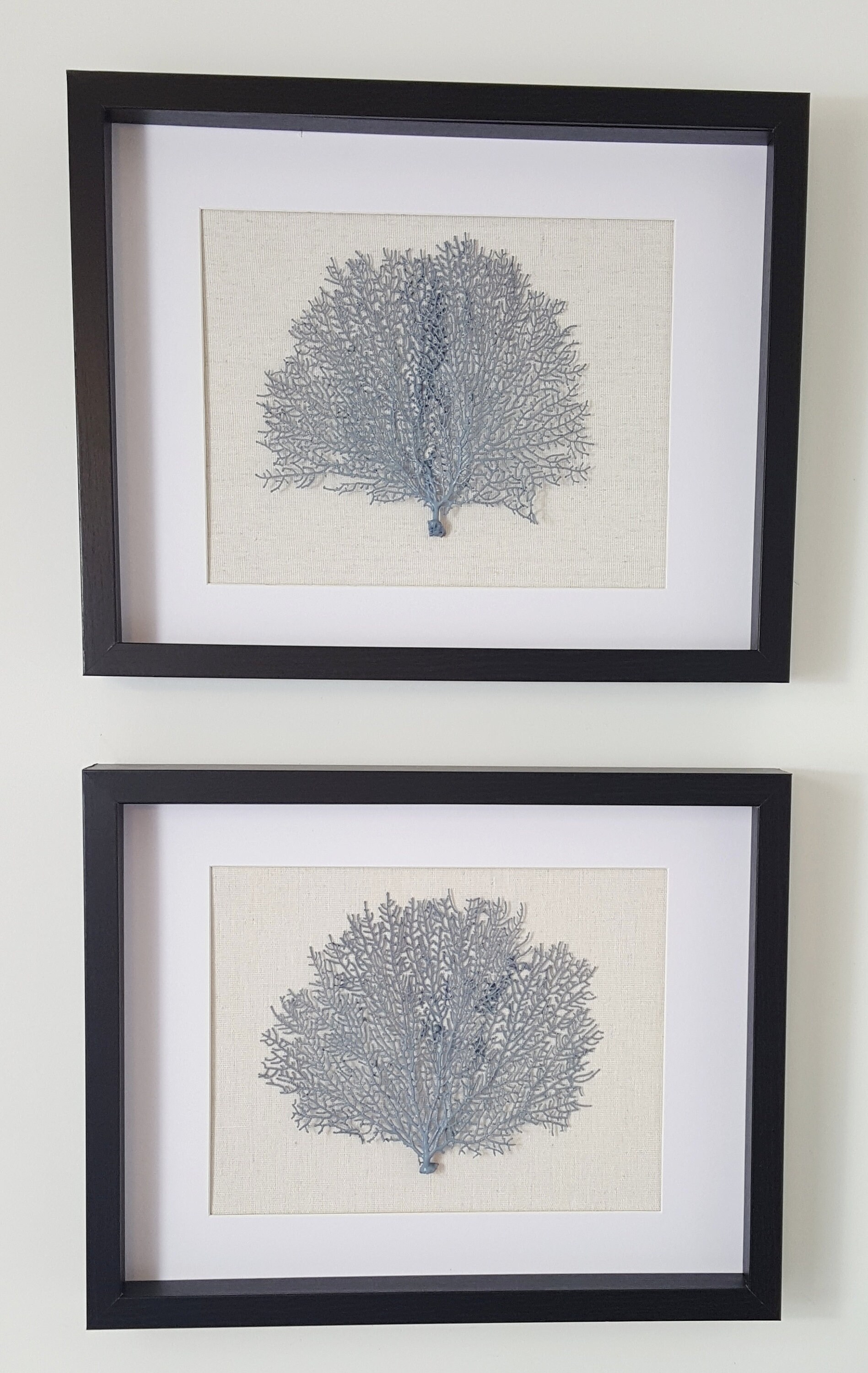 Set of 2 Framed Sea Fans Sea Fan Art Sea Fan Decor Sea - Etsy