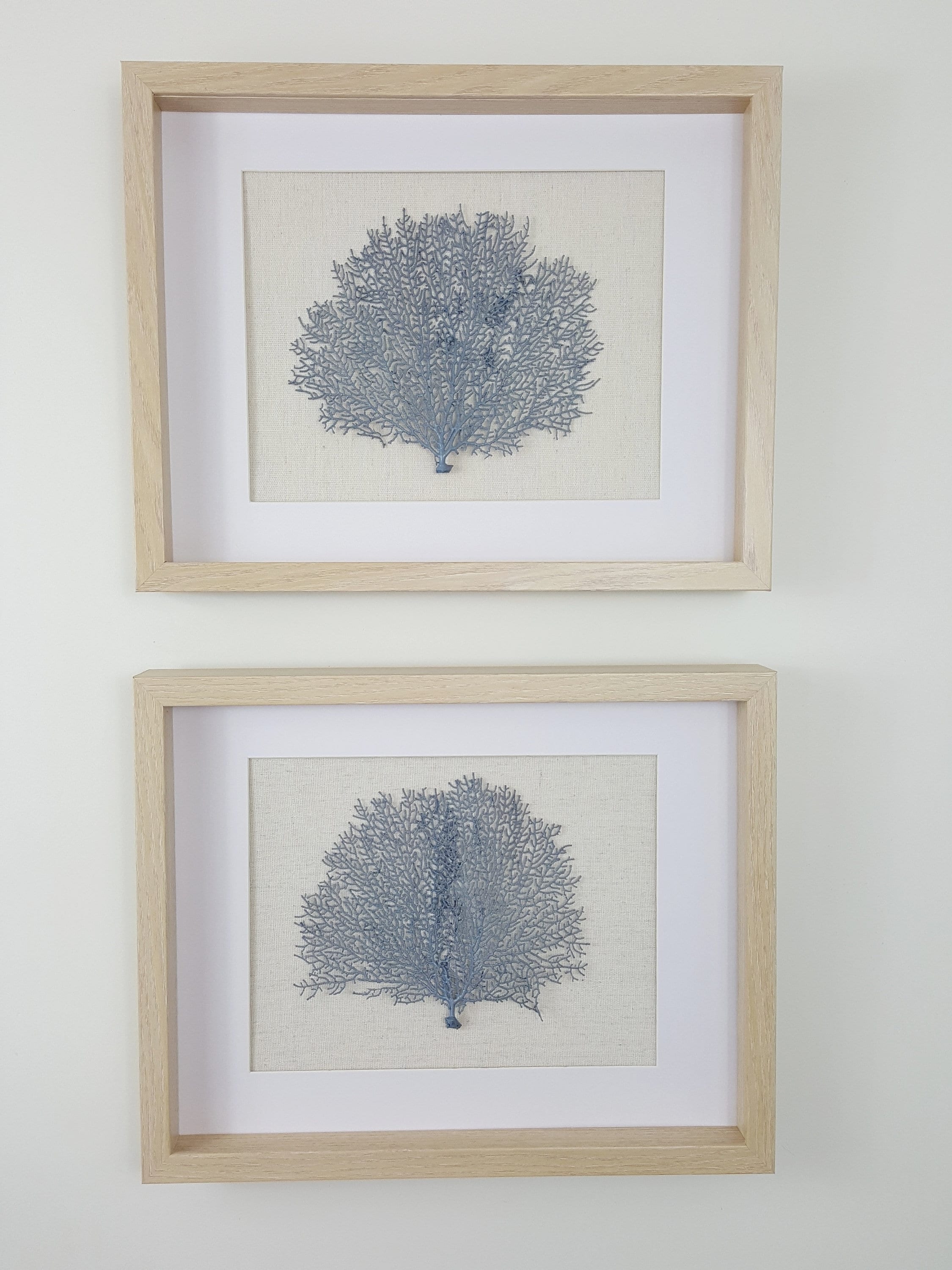 Set of 2 Framed Sea Fans Sea Fan Art Sea Fan Decor Sea - Etsy