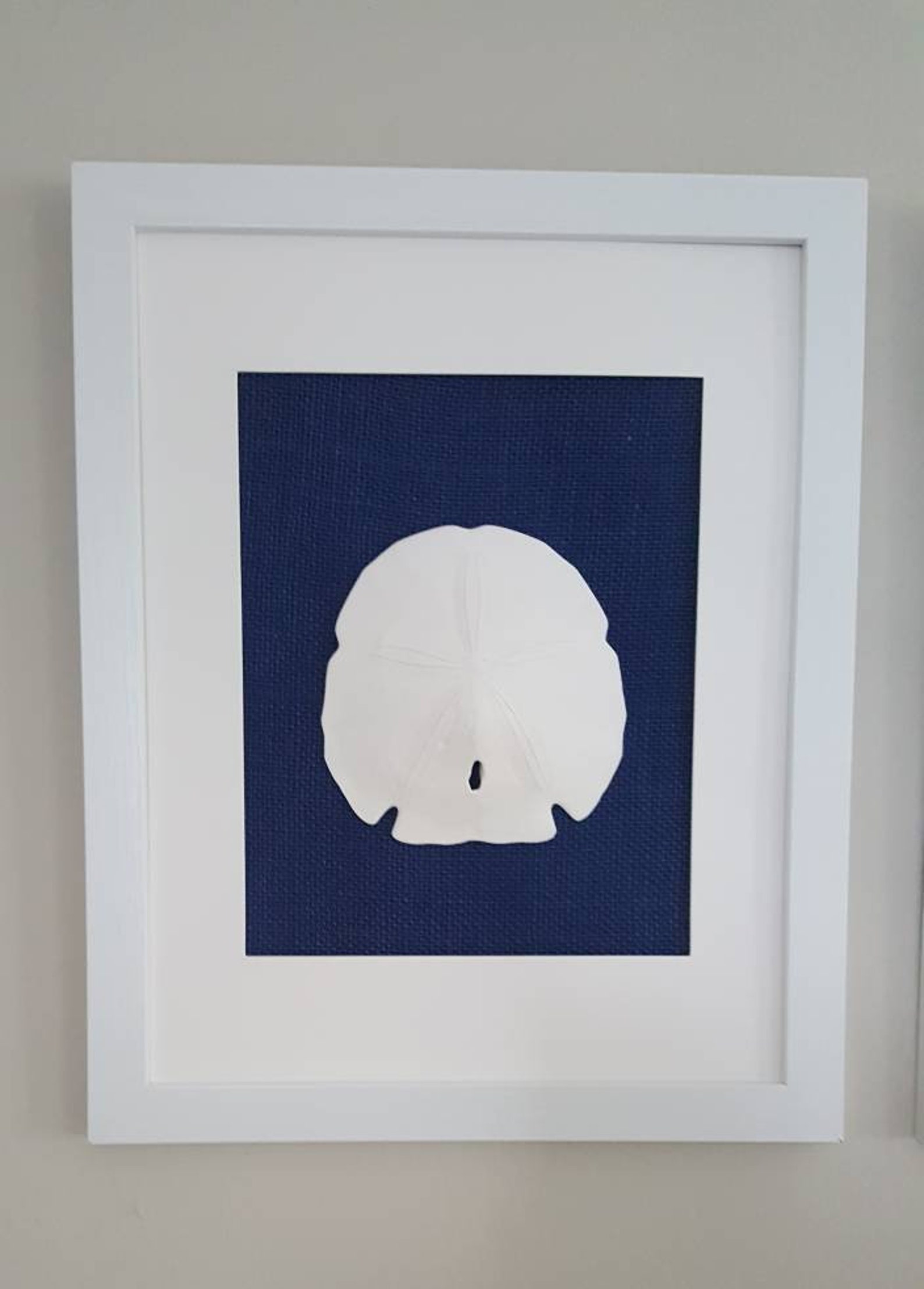 Set of 4 Framed Seashells Navy Blue Beach Decor Beach Wall - Etsy