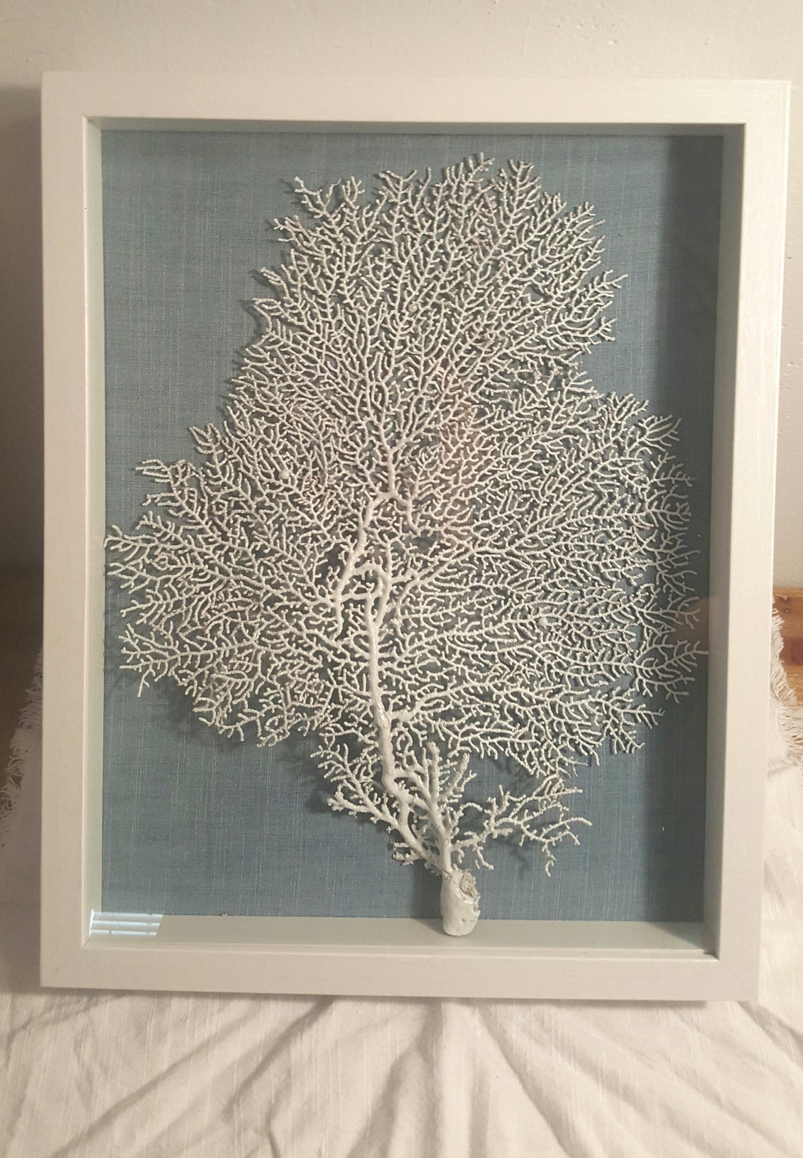 Set of 2 Framed Sea Fans White Sea Fans Sea Fan Art Sea Fan - Etsy