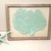 Set of 2 Framed Sea Fans Sea Foam Sea Fans Sea Fan Decor - Etsy