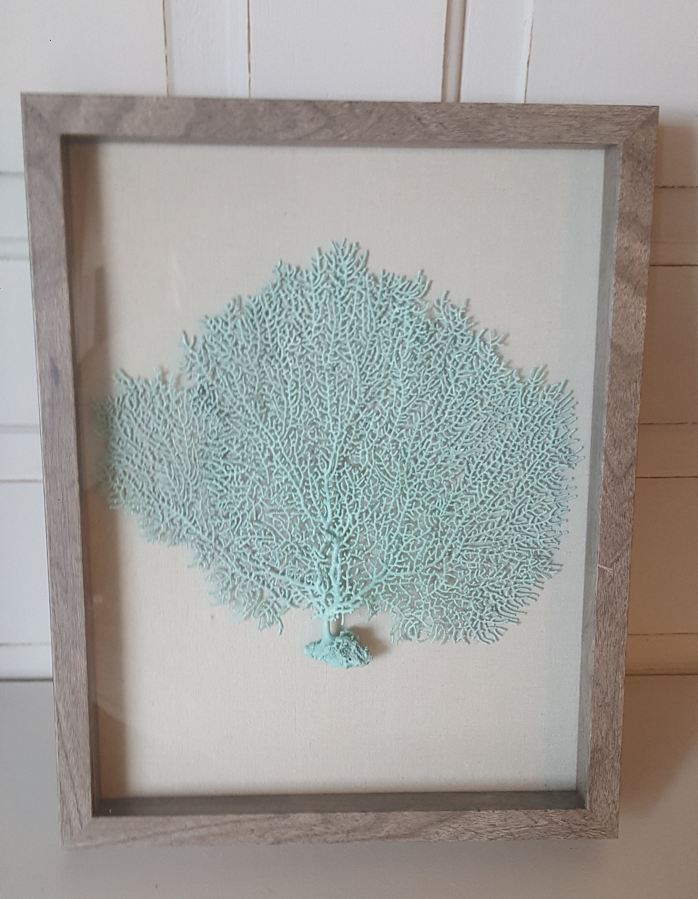 Set of 3 Framed Sea FansSea Foam Sea Fans Sea Fan Decor Sea | Etsy