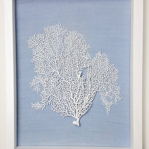 Set of 2 Framed Sea Fans, White Sea Fans, Coastal Decor, Sea Coral ...