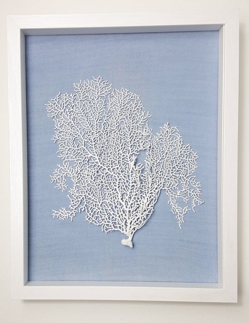 Set of 2 Framed Sea Fans White Sea Fans Coastal Decor Sea - Etsy