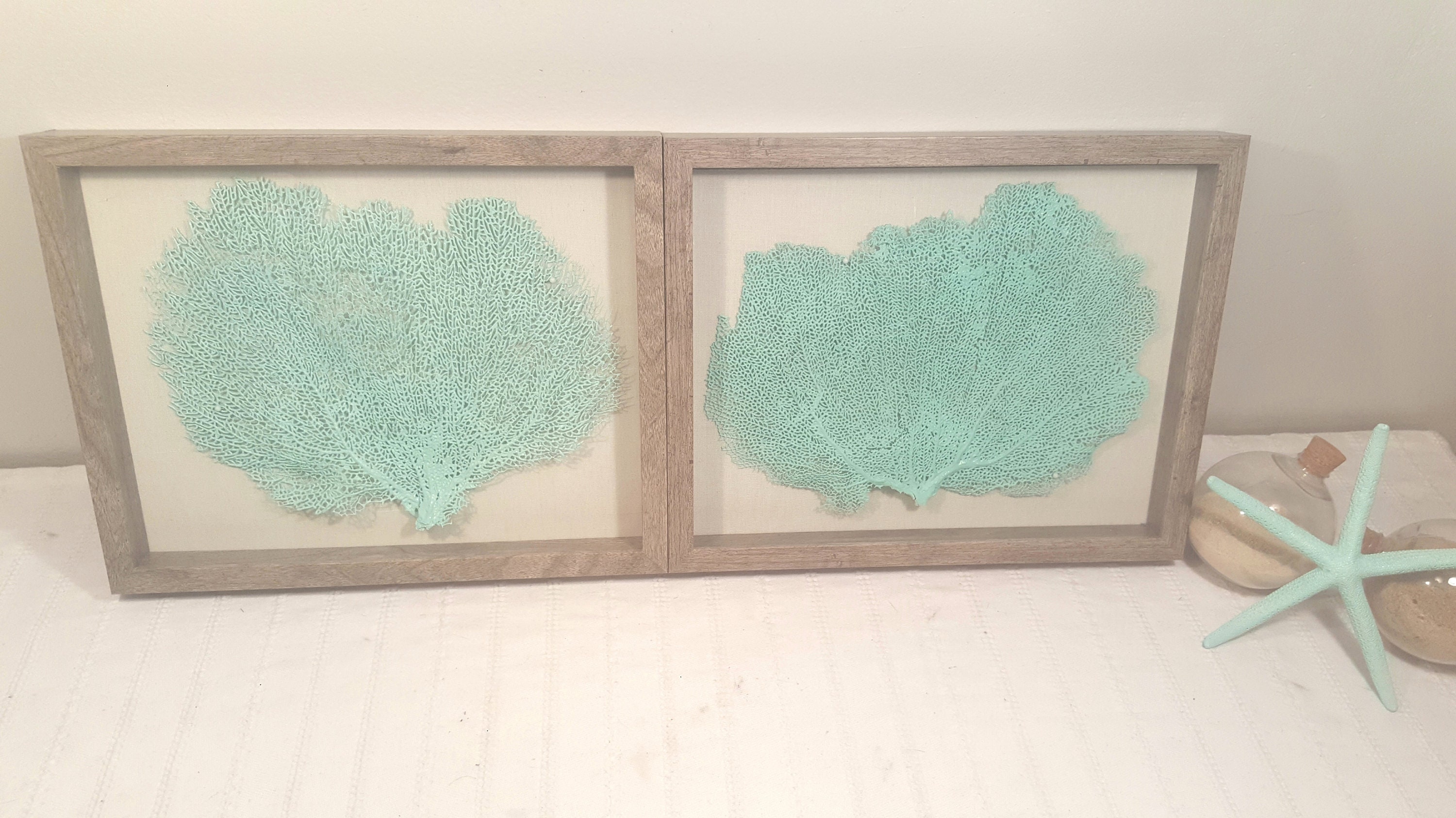 Set of 2 Framed Sea Fans Sea Foam Sea Fans Sea Fan Decor | Etsy