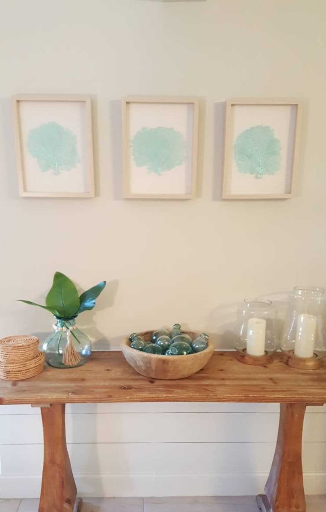 Set of 3 Framed Sea Fans, Sea Foam Sea Fan, Sea Fan Art, Sea Fan ...