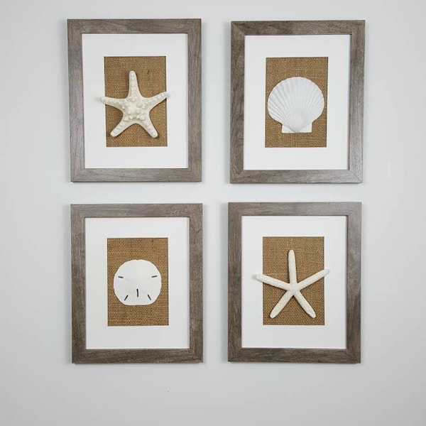 Framed Shell Wall Art - Etsy