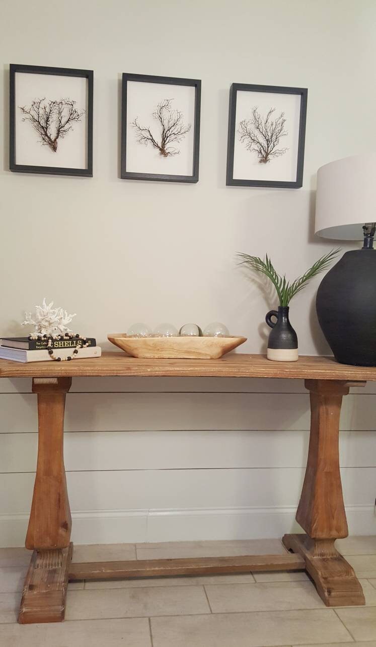 Set of 3 Framed Sea Fansblack Sea Fans Sea Fan Decor Sea - Etsy