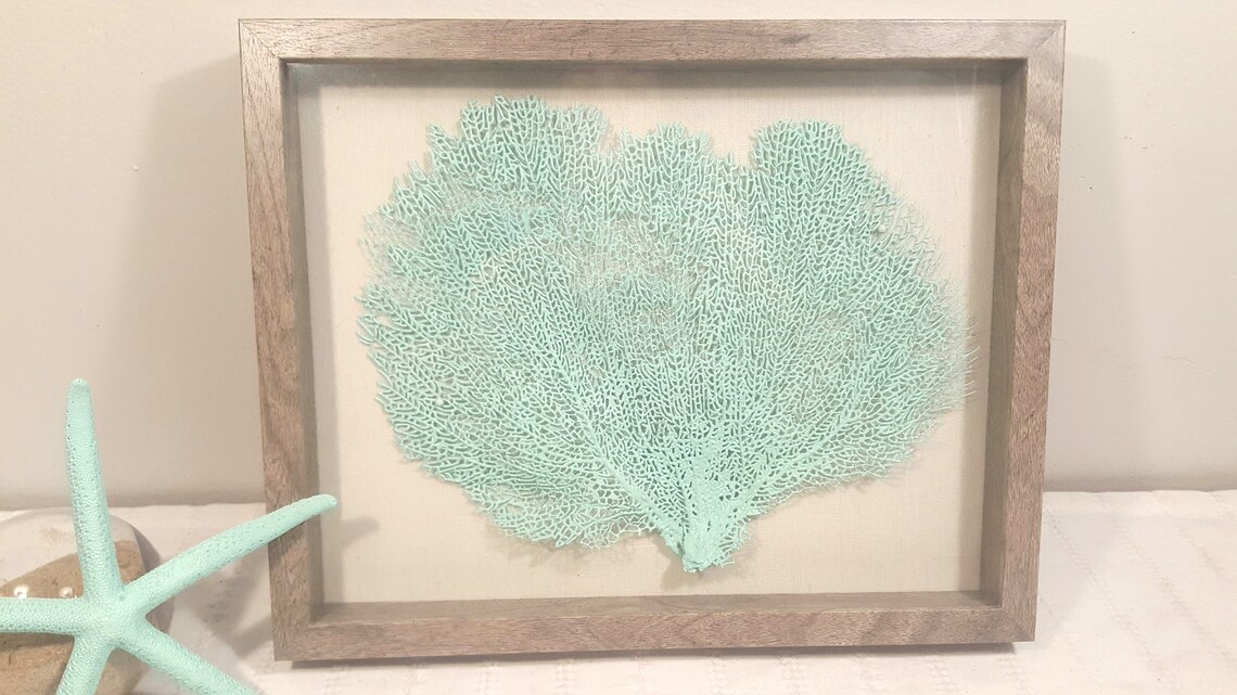 Framed Sea Foam Sea Fan Shadowbox, Coastal Beach Decor, Set of 2 - Etsy