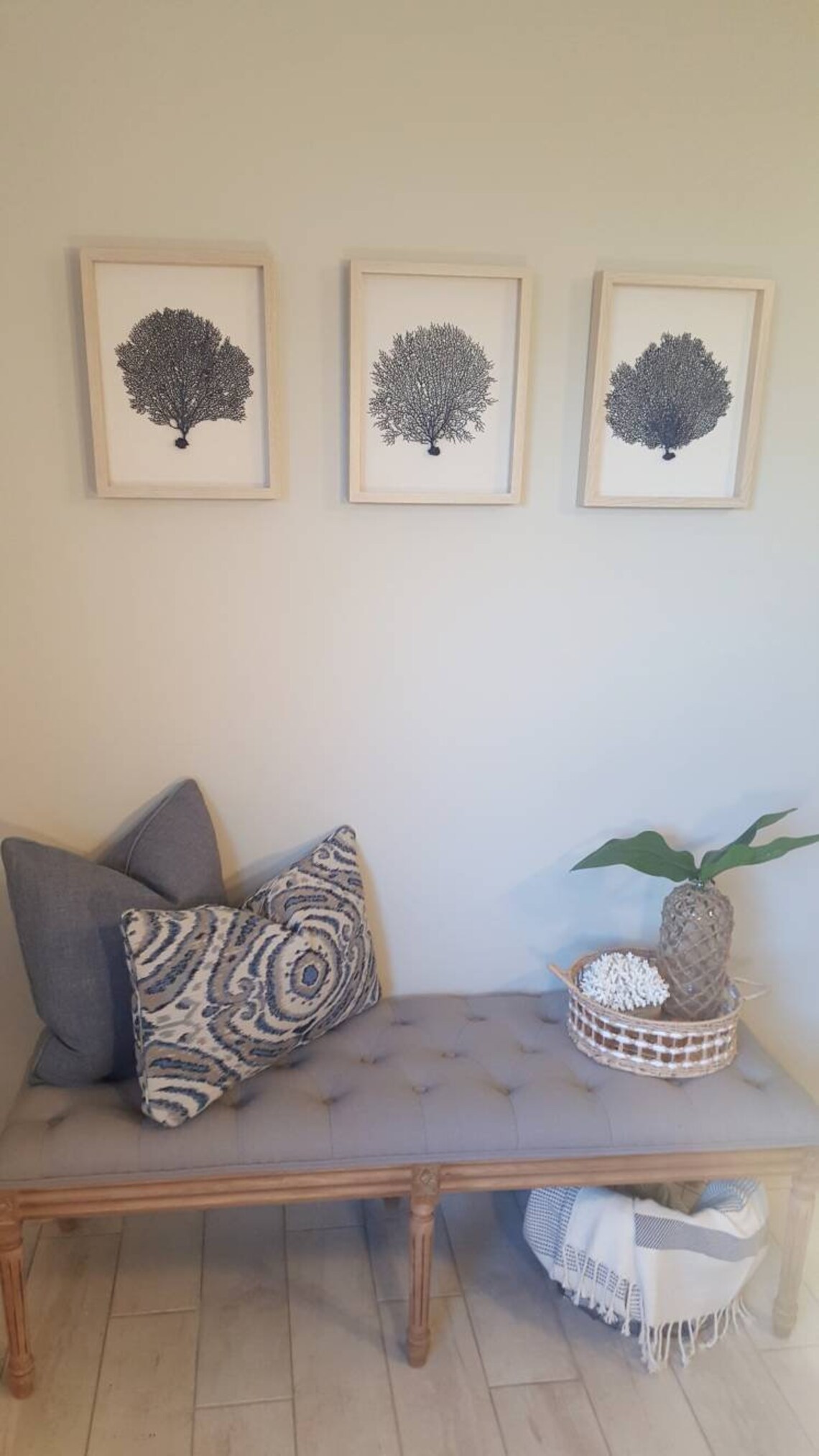 Set of 3 Framed Sea Fans Navy Blue Sea Fans Sea Fan Decor - Etsy