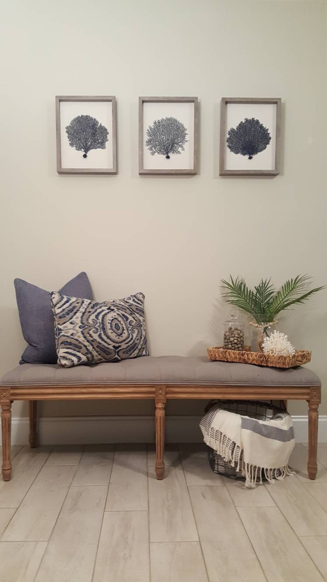 Set of 3 Framed Sea Fans, Navy Blue Sea Fans, Sea Fan Decor, Sea Fan ...