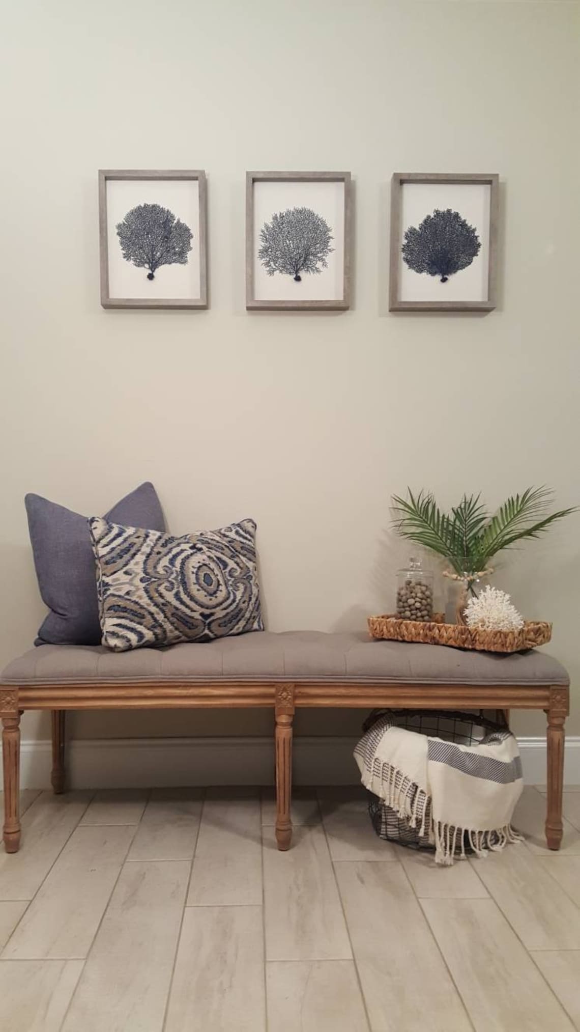 Set of 3 Framed Sea Fans Navy Blue Sea Fans Sea Fan Decor | Etsy