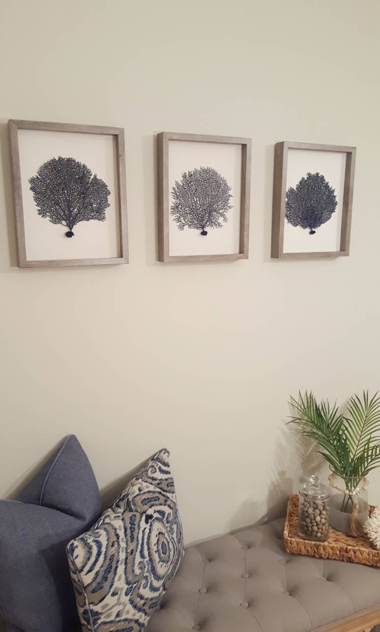 Set of 3 Framed Sea Fans Navy Blue Sea Fans Sea Fan Decor | Etsy
