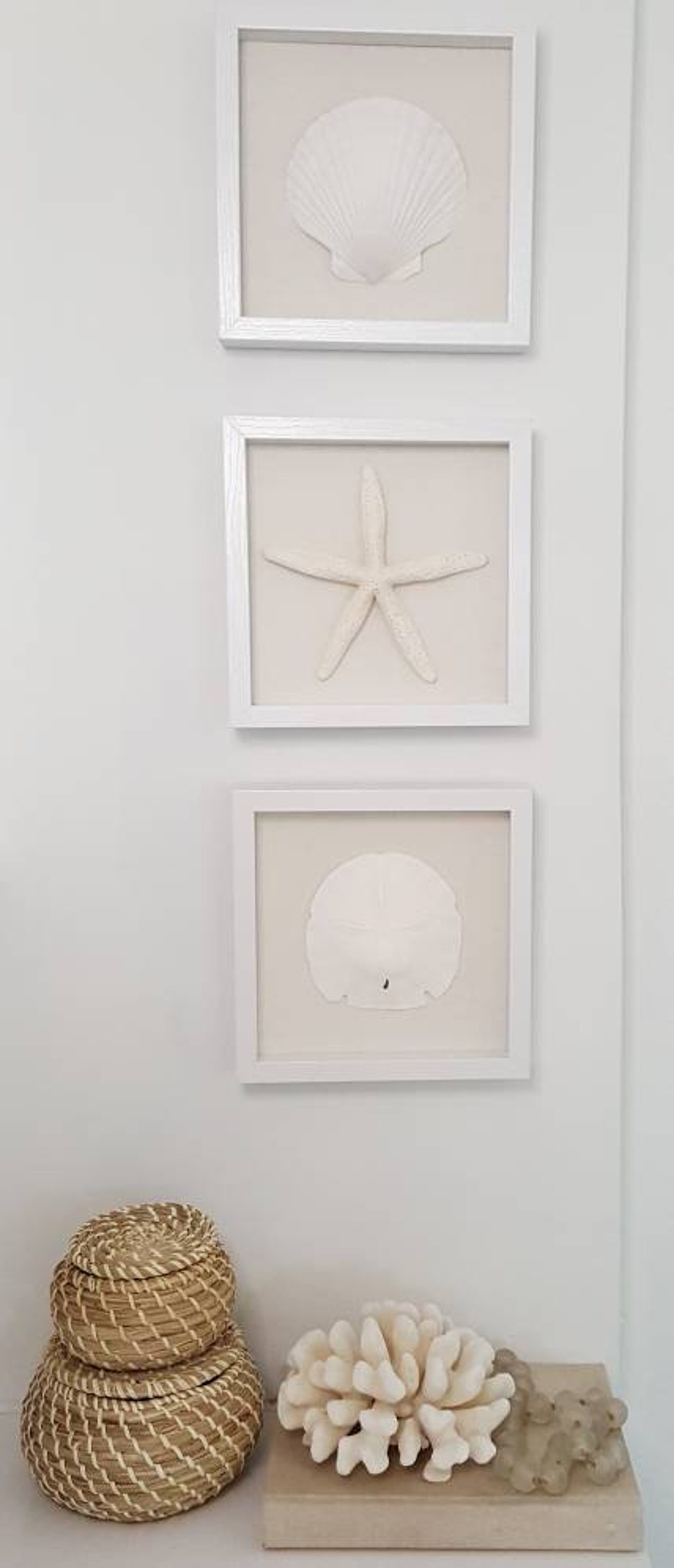 Set of 3 Framed Seashells Home Decor Coastal Housewarming - Etsy