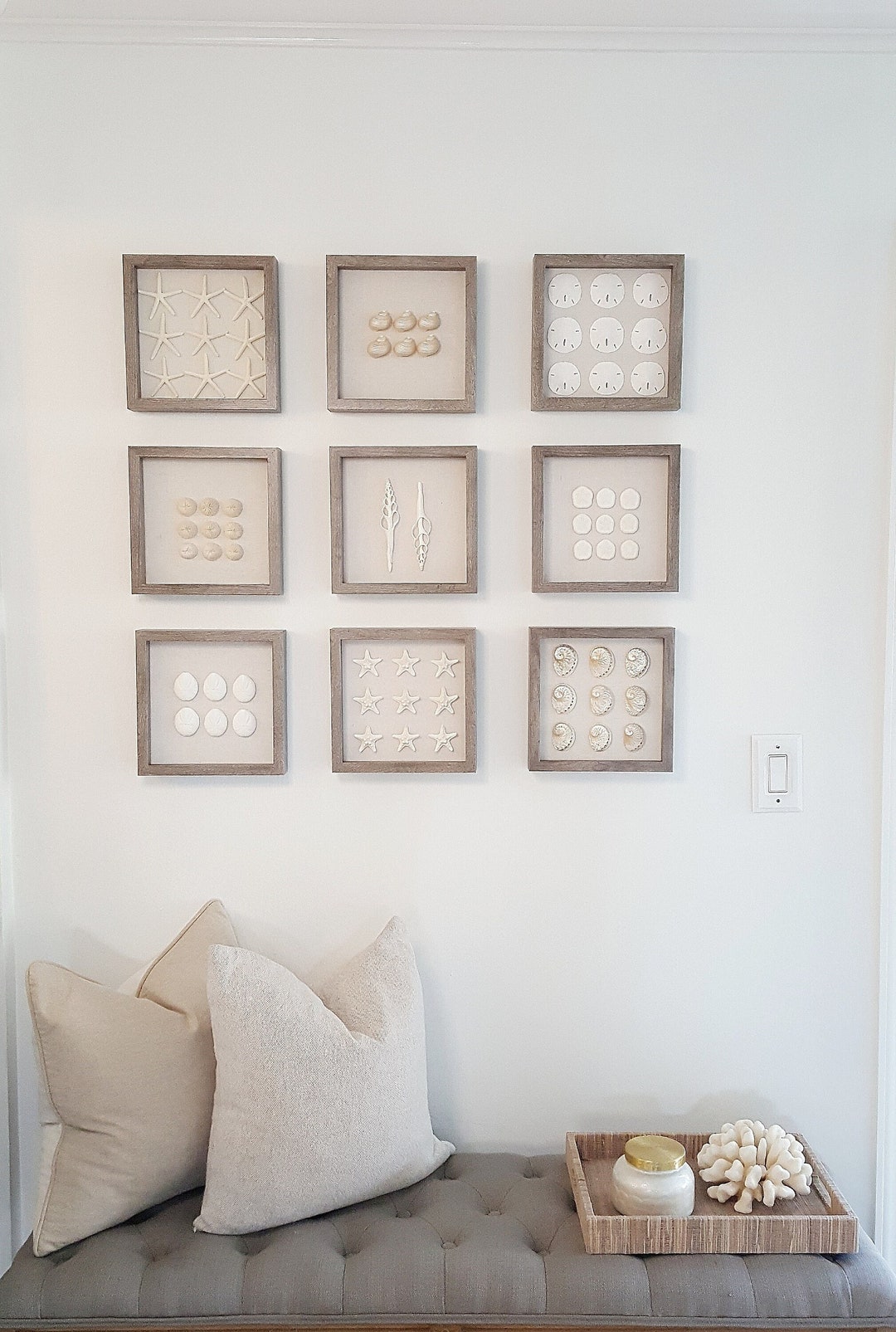 Set of 9, Framed Seashells, Framed Starfish, Framed Sand Dollar ...