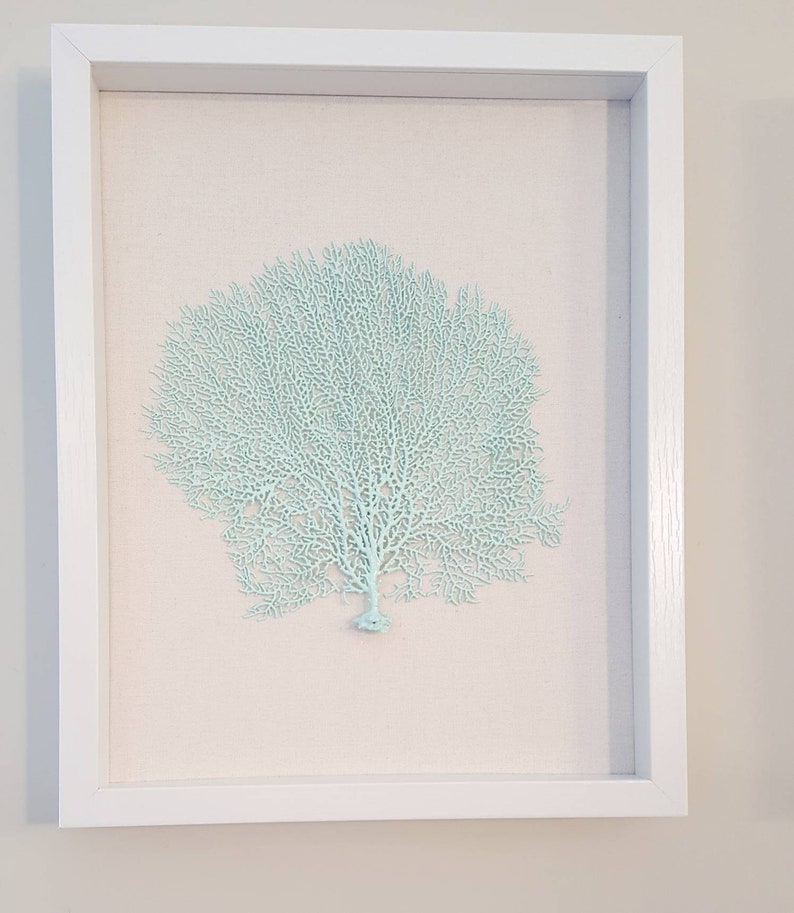 Set of 3 Framed Sea Fans Sea Foam Sea Fans Sea Fan Decor | Etsy