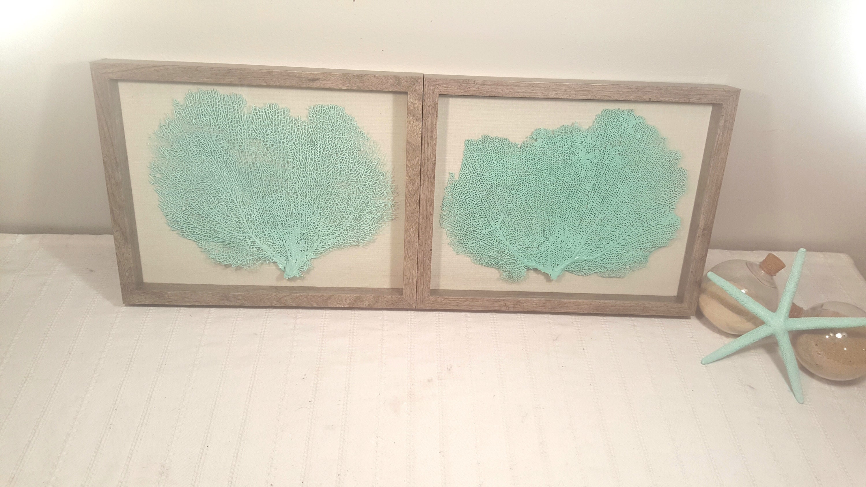 Set of 2 Framed Sea Fans Sea Foam Sea Fans Sea Fan Decor - Etsy