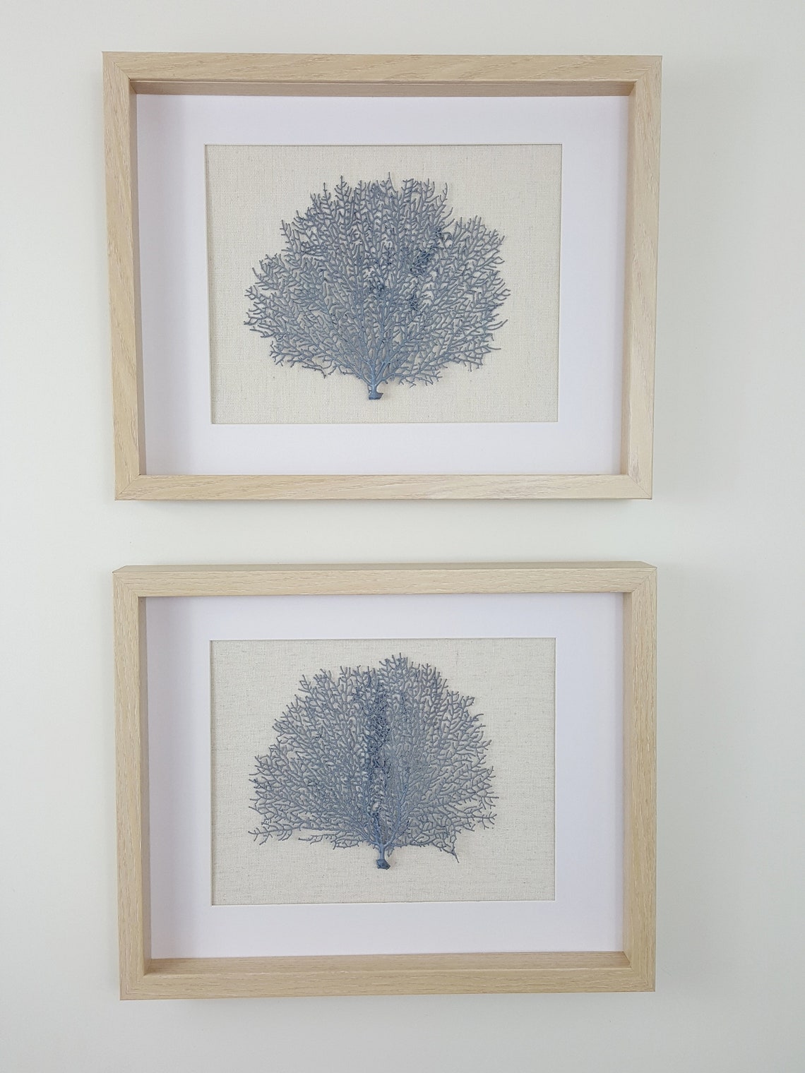 Set of 2 Framed Sea Fans Sea Fan Art Sea Fan Decor Sea | Etsy